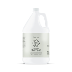Lavender Mint Shampoo (1 Gallon) - Amenie ALMS128-Single EA - Betty Mills