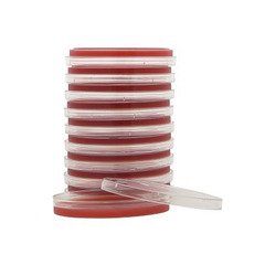 Prepared Media Selective Strep Agar (COBA Medium) Mono-Plate Format, 1 ...