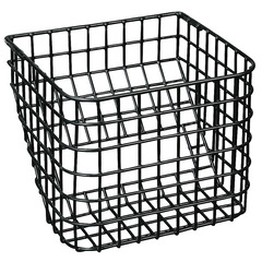 Papette Cervical Cell Collection Device Papette Sterile, 1000/CS ...